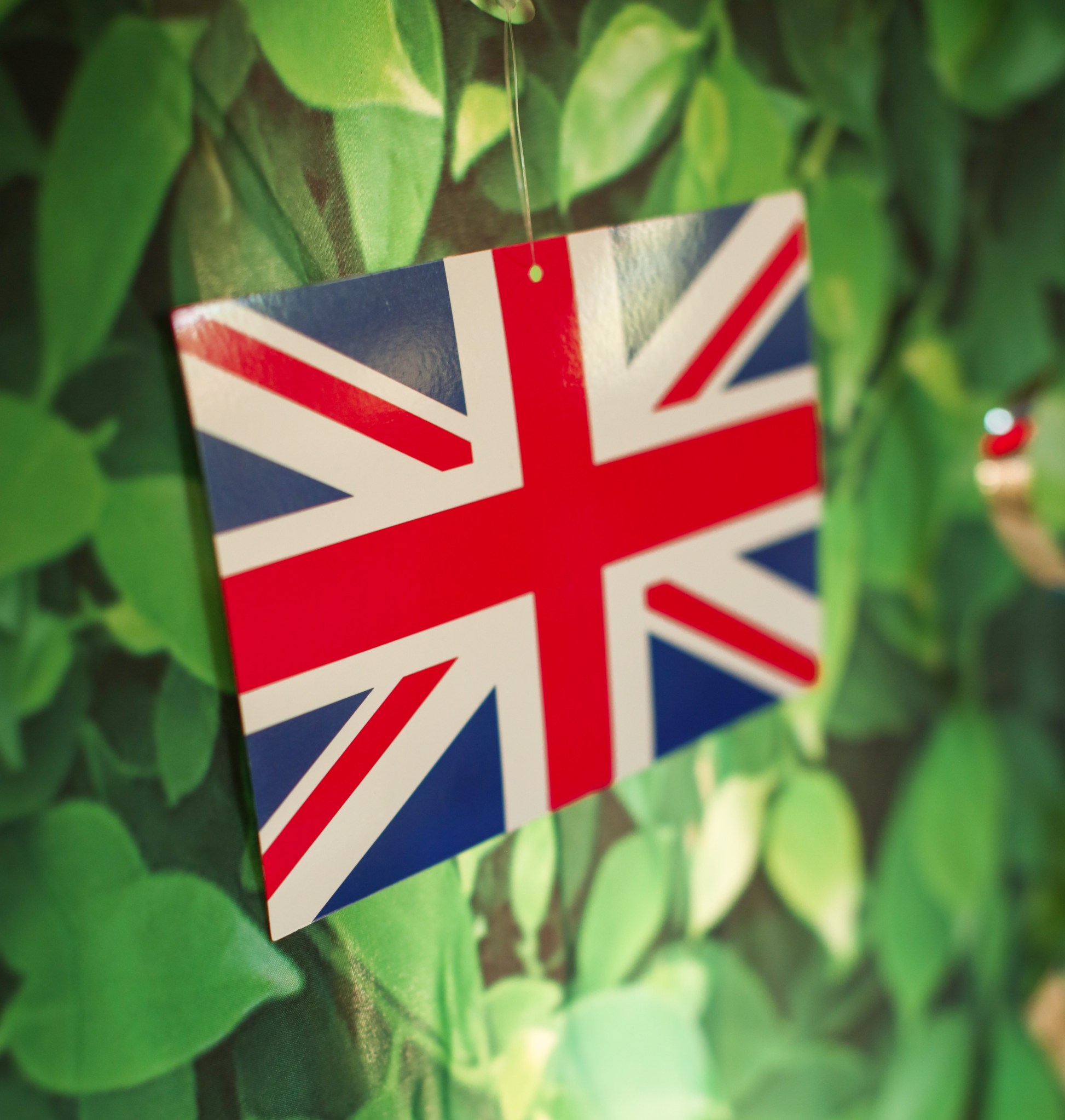 Union Jack Birthday Theme | XOXO, terri